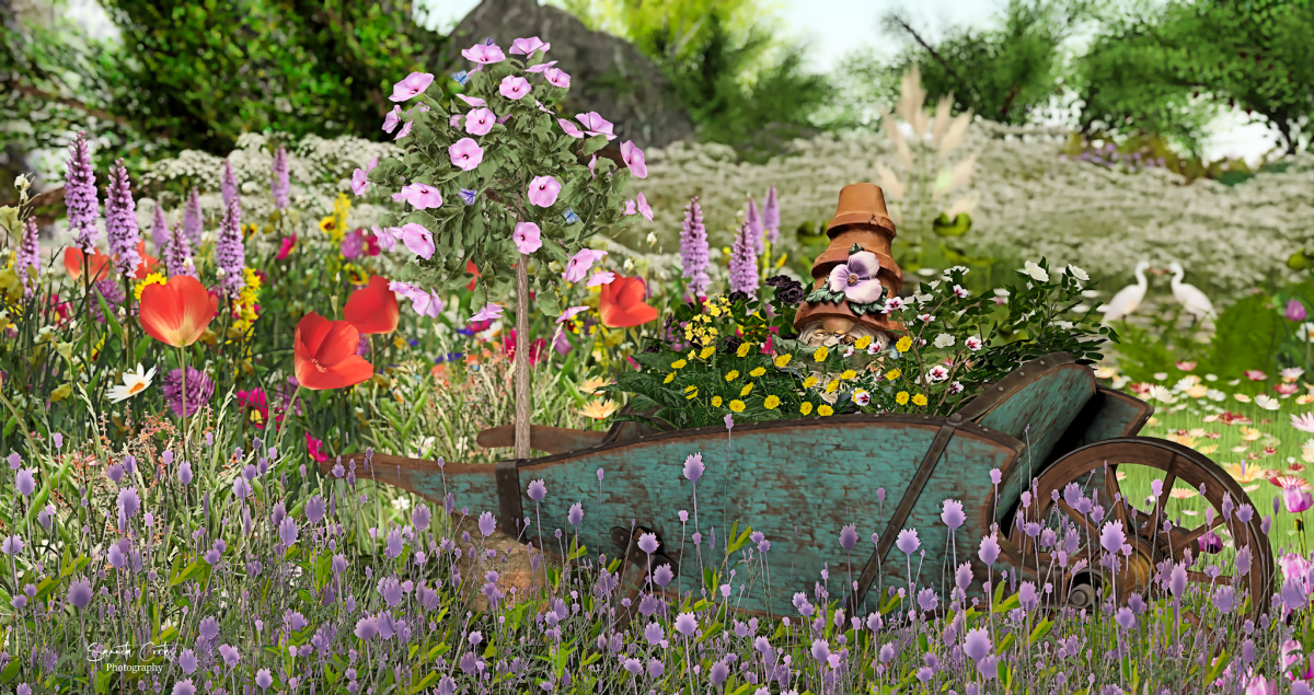 Wheelbarrow Bird Bath – Sannita Cortes